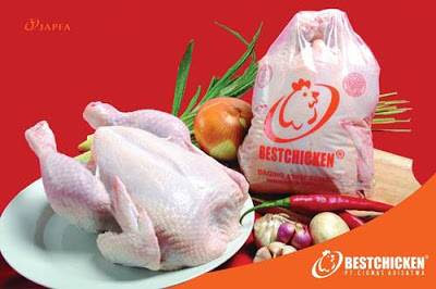 PT Ciomas Adisatwa - Tentang Kami