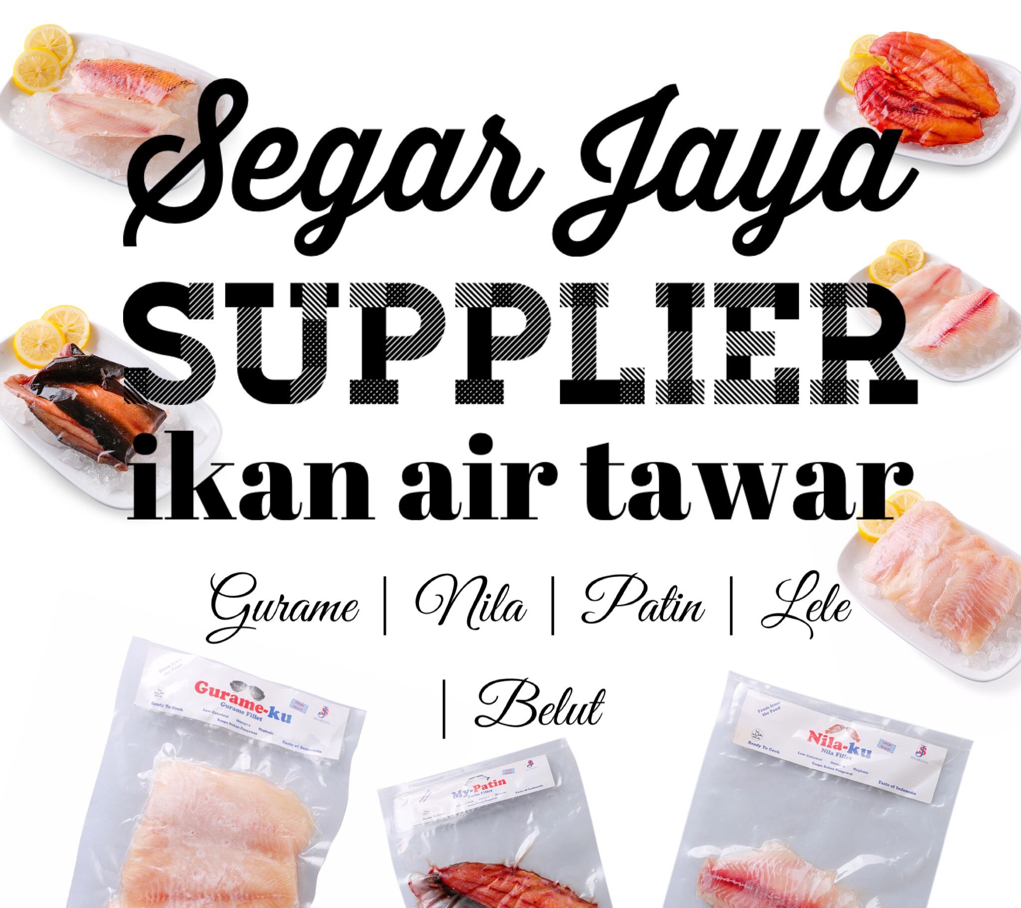 CV. Segar Jaya Tangerang , Banten Profil , Telepon, Alamat
