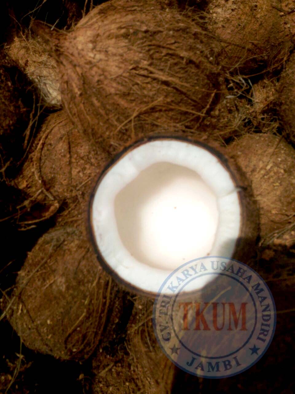 CV Trikarya Usahamandiri Jambi , Jambi Profil , Telepon, Alamat