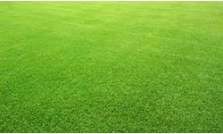 Jual Rumput harga termurah untuk bisnis Mei 2026