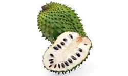 Jual Sirsak harga termurah untuk bisnis September 2025