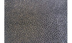 Jual Kulit Ikan Pari harga termurah untuk bisnis Mei 2025