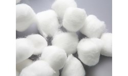 Jual Kapas harga termurah untuk bisnis September 2025