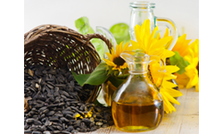 Jual Minyak Bunga Matahari harga termurah untuk bisnis Januari 2026