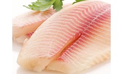 Jual Fillet Ikan di Kota Semarang , Jawa Tengah harga termurah untuk ...